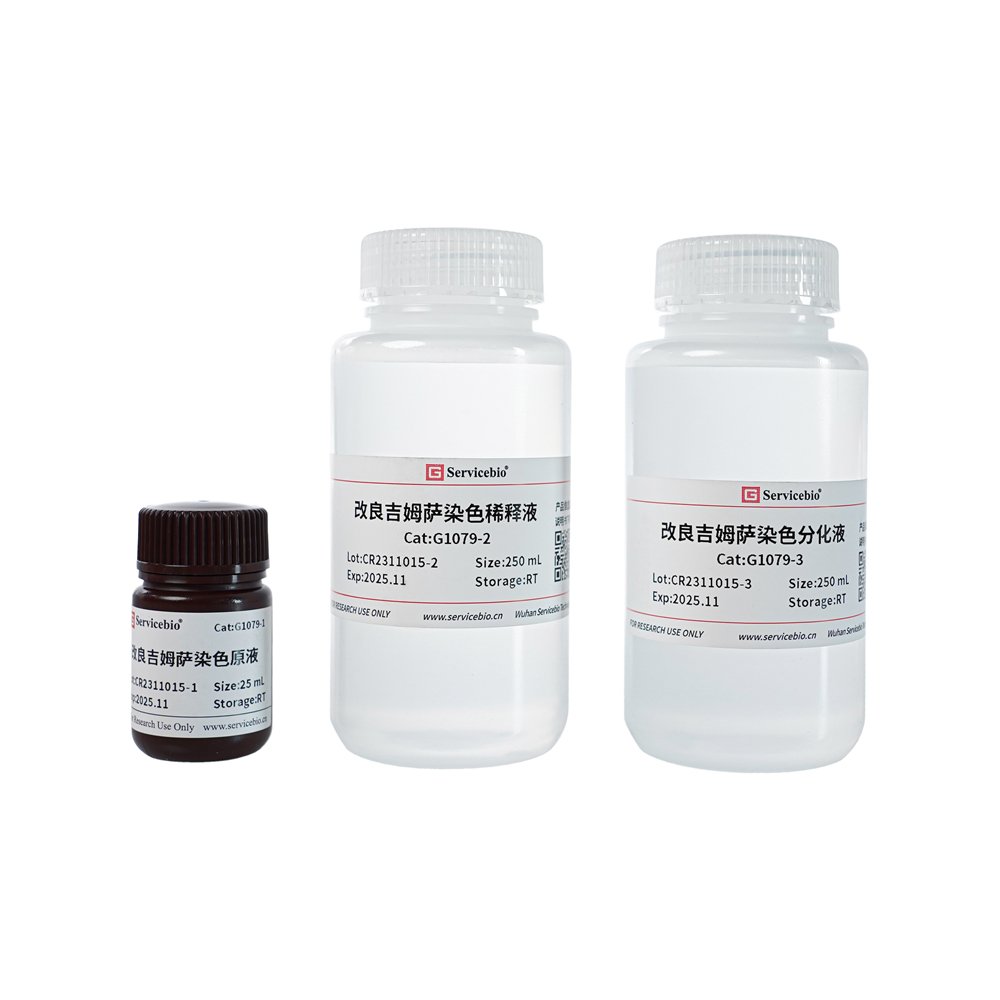Modified Giemsa Staining Kit, 100T