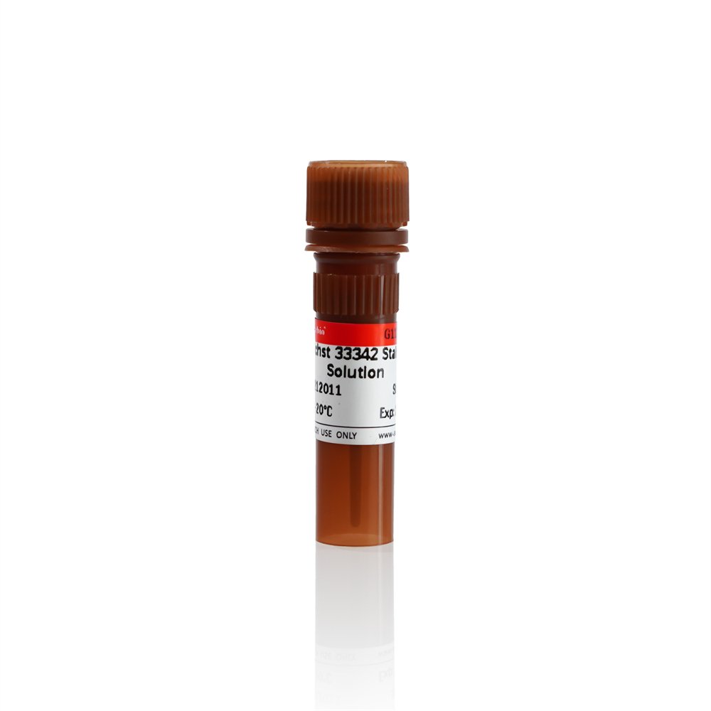 Hoechst 33342 Staining Solution (1 mg/mL), 1 mL - smartscience