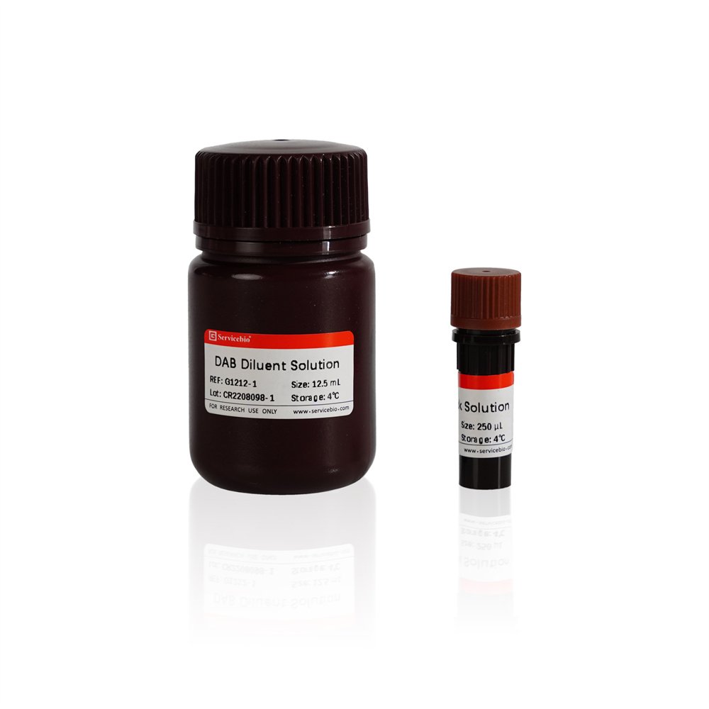 DAB Chromogenic Kit, 200 T (for Immunohistochemistry Kit) - smartscience