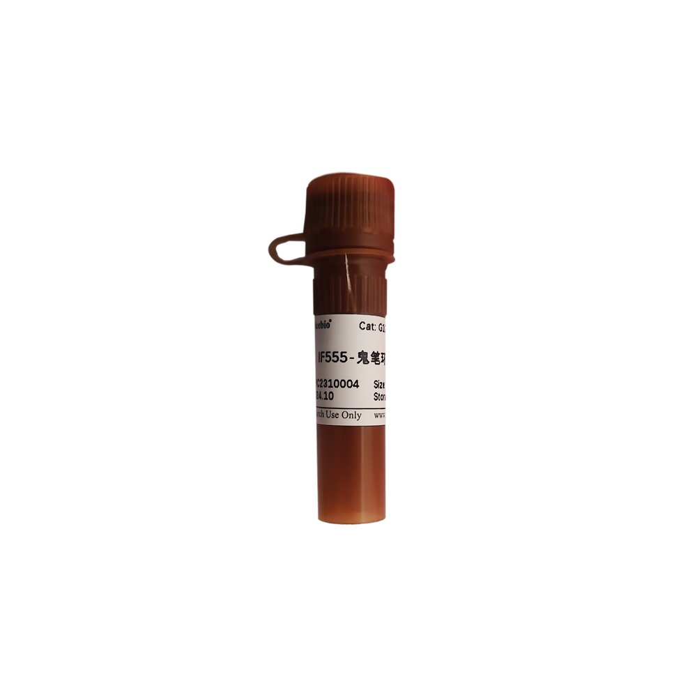 IF555-Phalloidin, 100 T