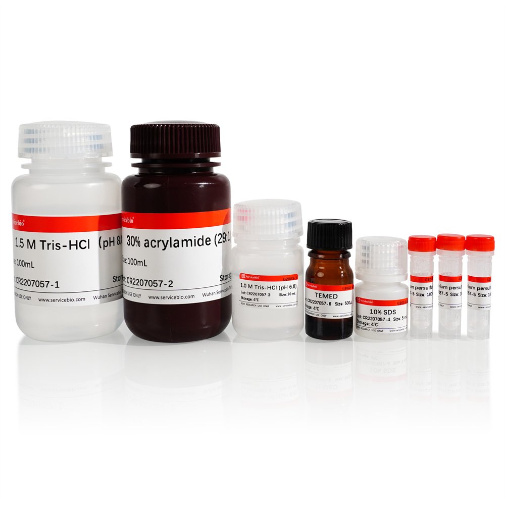 SDS-PAGE gel preparation kit, 50 T - smartscience