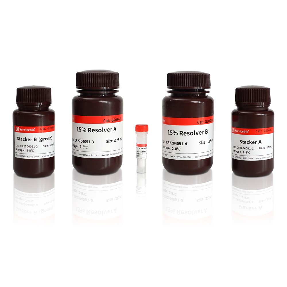15% SDS-PAGE colored (green) gel ultra-fast preparation kit, 50 T