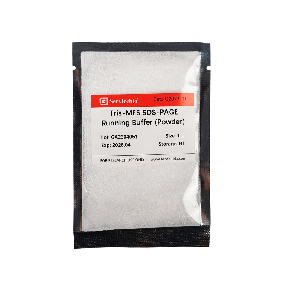 Tris-MES SDS-PAGE Running Buffer (Powder), 1 L