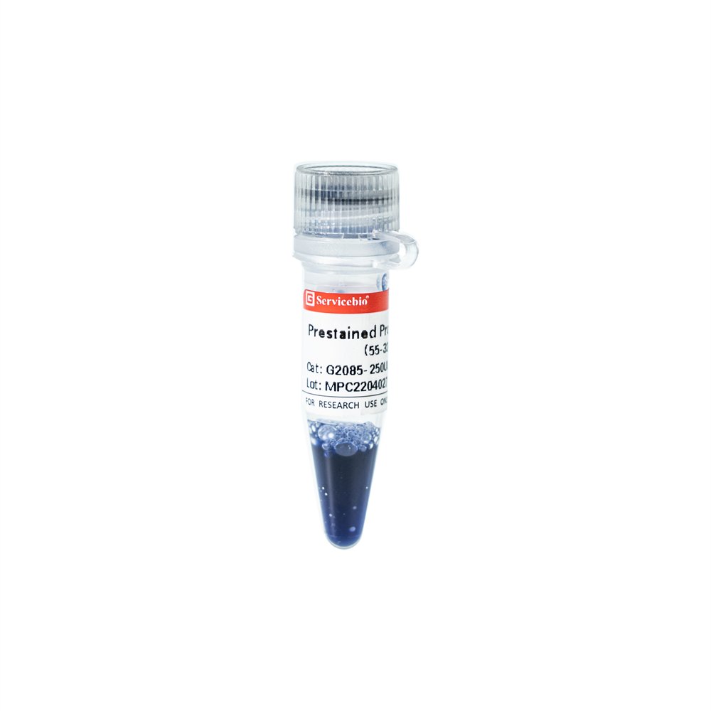 Prestained Protein Marker Ⅵ (55-320 kDa), 250 μL