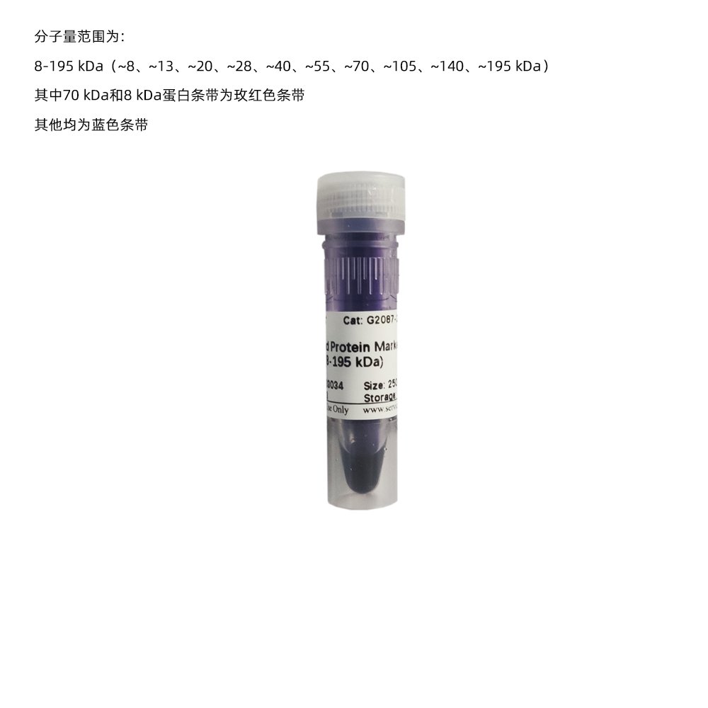 Prestained Protein Marker Ⅶ (8-195 kDa), 250 μL
