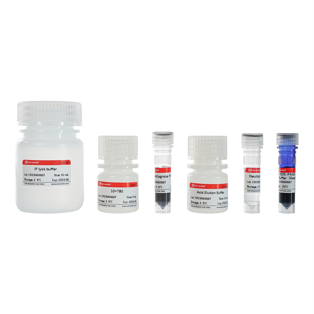 Protein Immunoprecipitation Kits (Protein G, Magnetic Bead Based), 50T ...