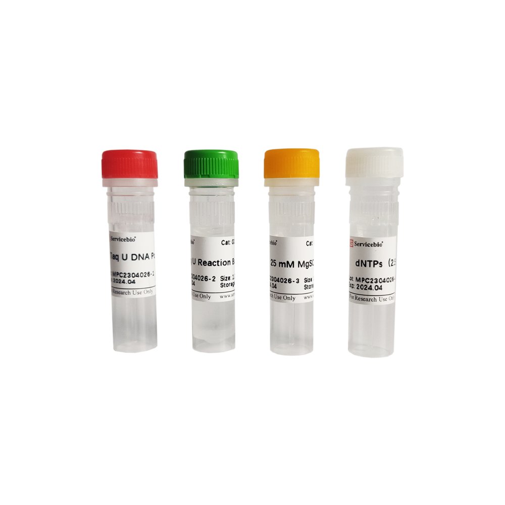 Taq U DNA Polymerase（for bisulfite-treated DNA, 50 rxns (for PCR series) - smartscience