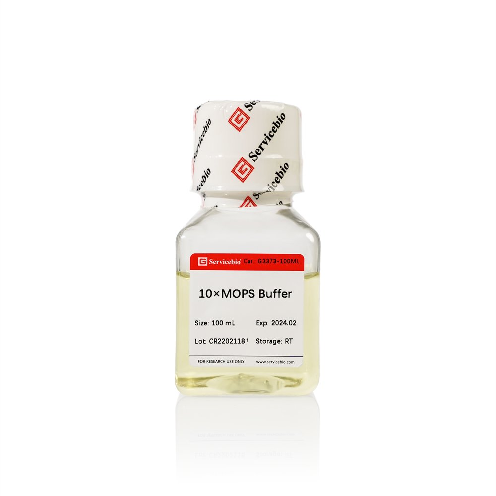 10×MOPS Buffer, 100 mL (for Nucleic Acid Electrophoresis)