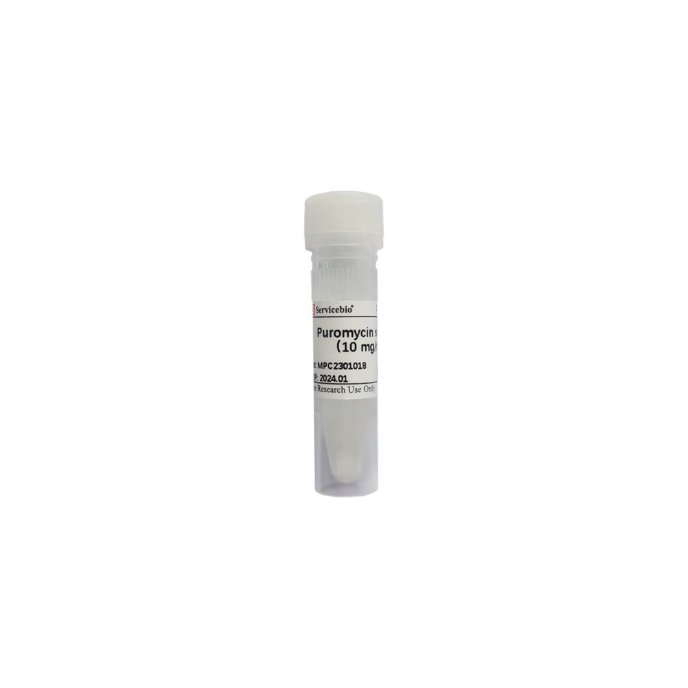 Puromycin Solution (10mg/mL), 1 mL - smartscience