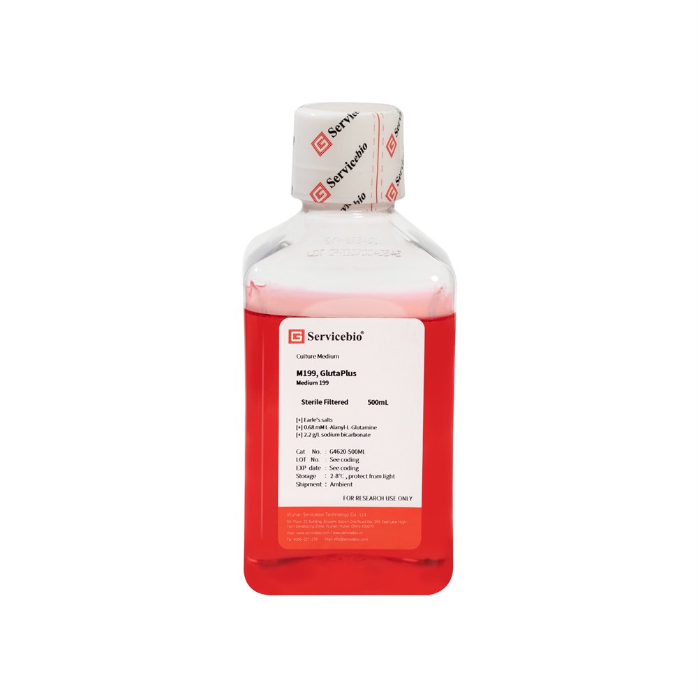 M199,GlutaPlus, 500 mL - smartscience