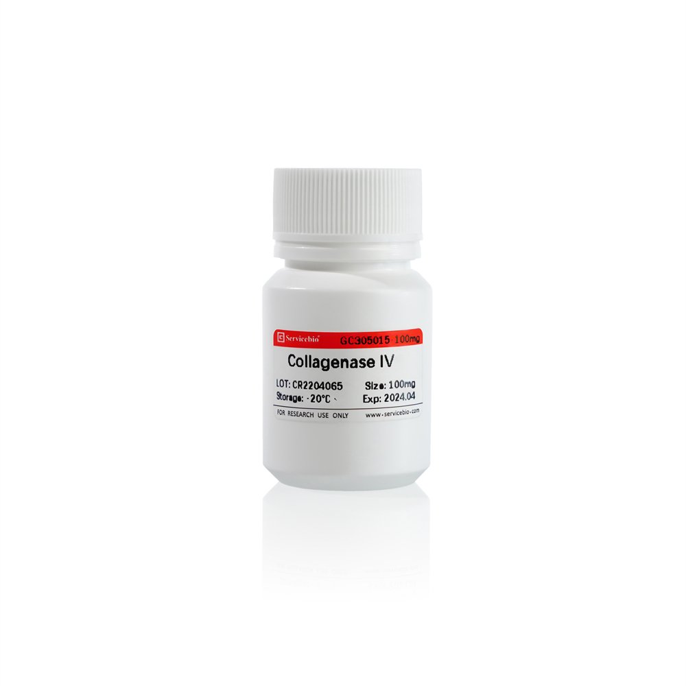 Collagenase IV, 100 mg (for Protein Derivatives) - smartscience