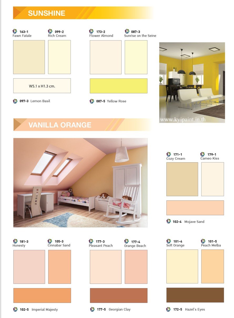 BegerShield Air Clean