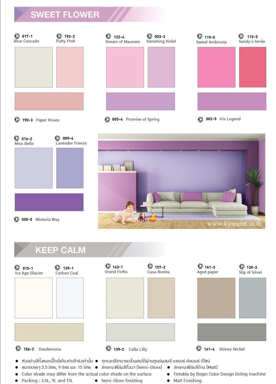 BegerShield Air Clean