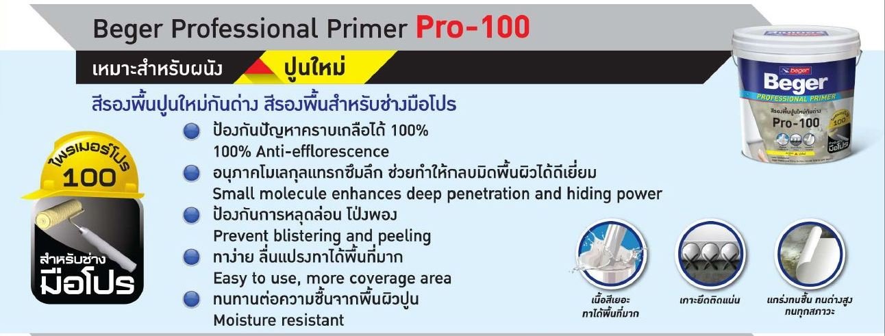 Beger Primer Pro-100 - kyipaint