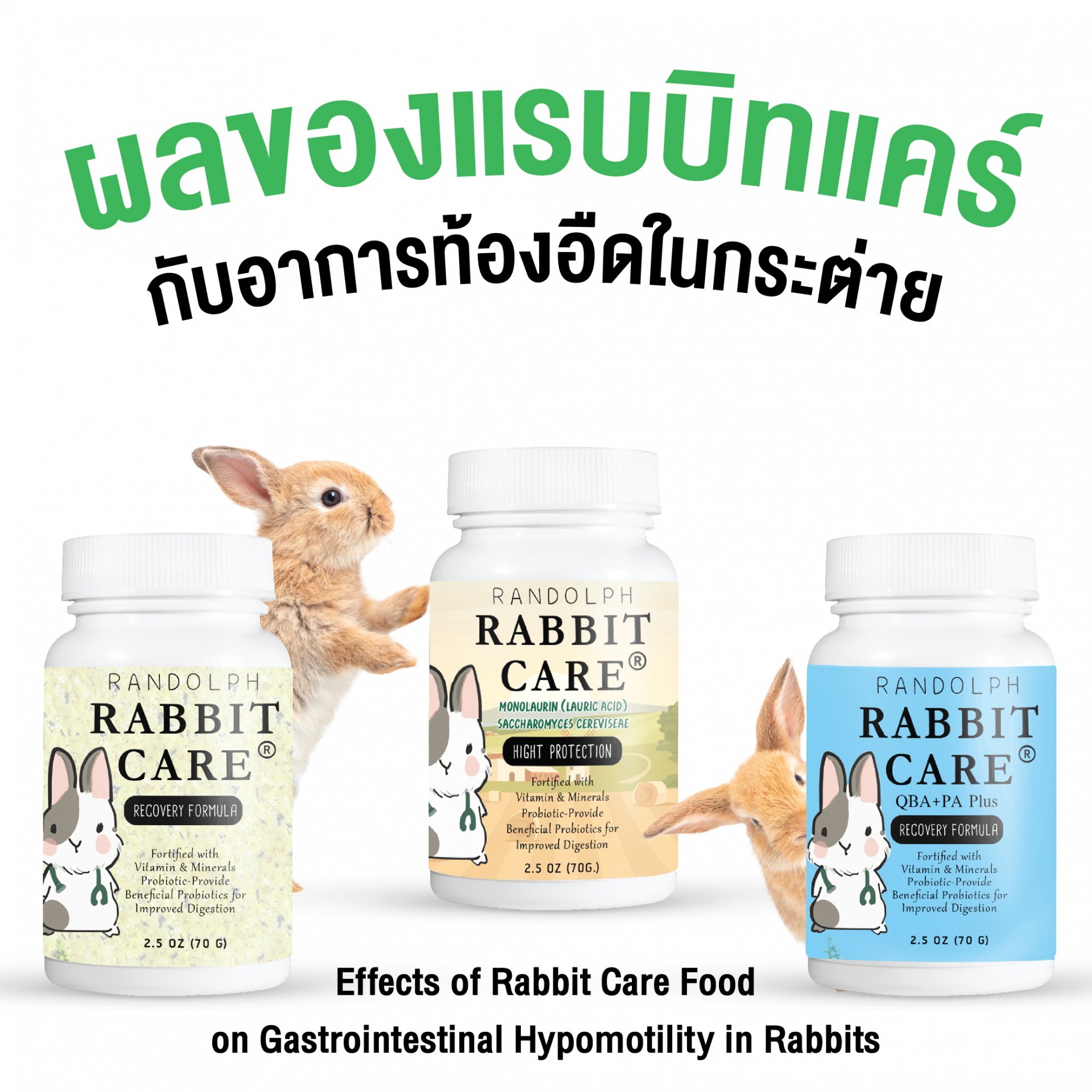ผลของแรบบิทแคร์กับอาการท้องอืดในกระต่าย Effects of Rabbit Care Food on ...