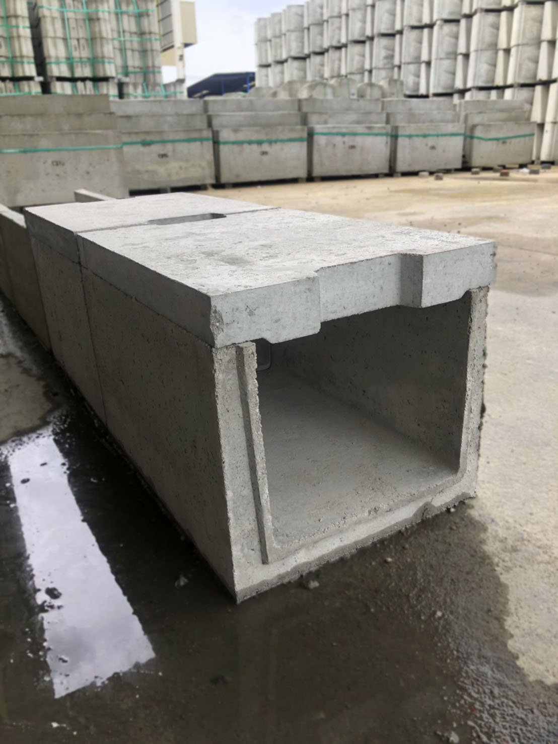 รางสายไฟฟ้าสำหรับงาน รถไฟฟ้า (electric cable trance)