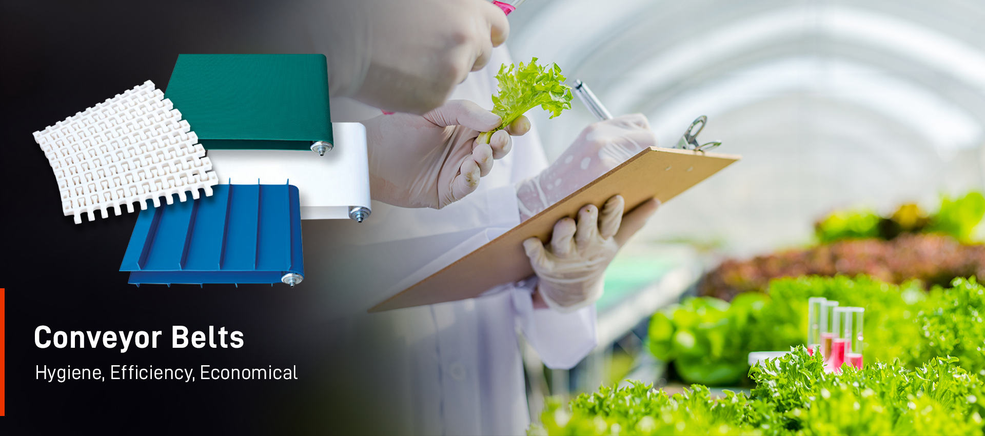 M-Plus Tech | Importer and distributor of products for food and ...