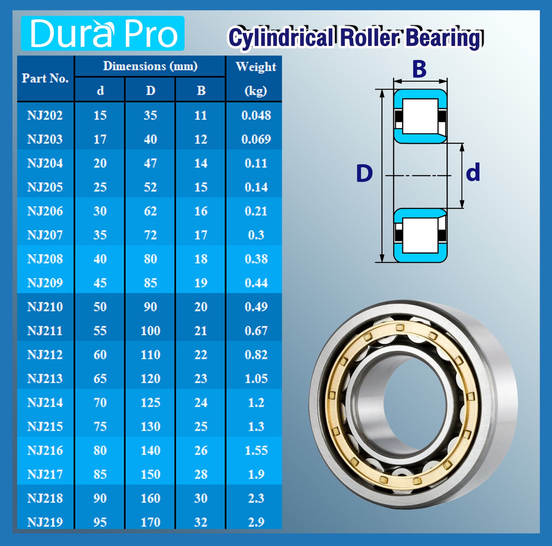 NJ211 ตลับลูกปืนเม็ดทรงกระบอก ( CYLINDRICAL ROLLER BEARINGS ) 55x100x21 ...