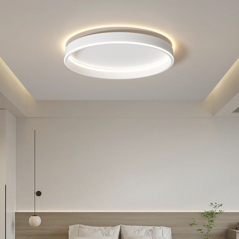 LED Downlight Modern Style