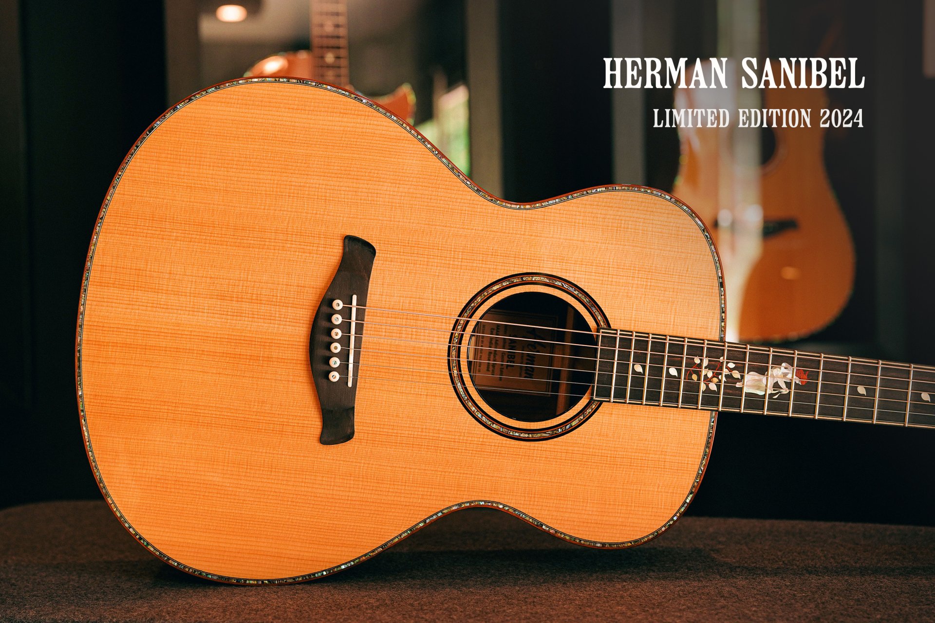 กีตาร์โปร่ง อุปกรณ์กีตาร์ Acoustic Guitar Herman Guitar