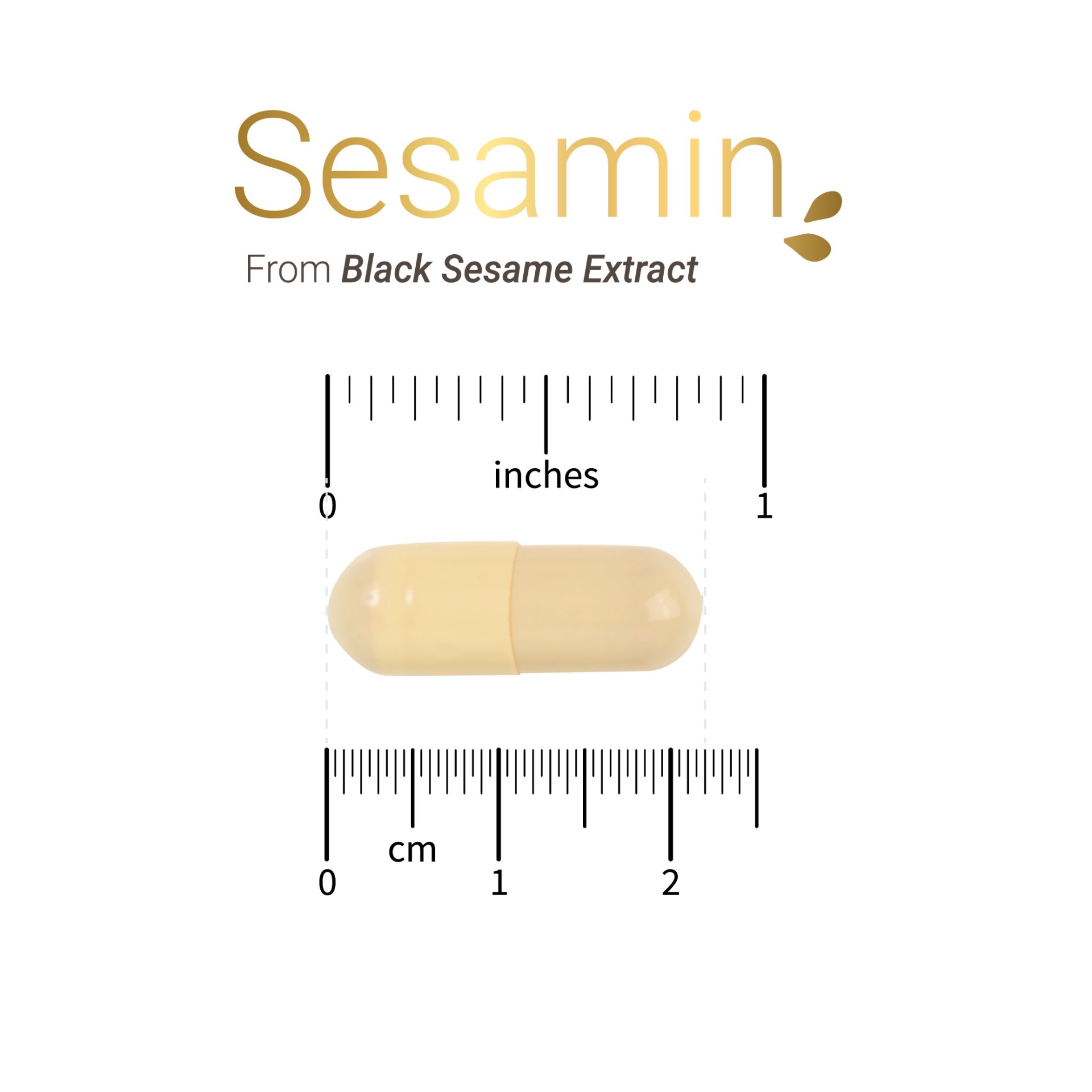 Sesamin From Black Sesame Extract