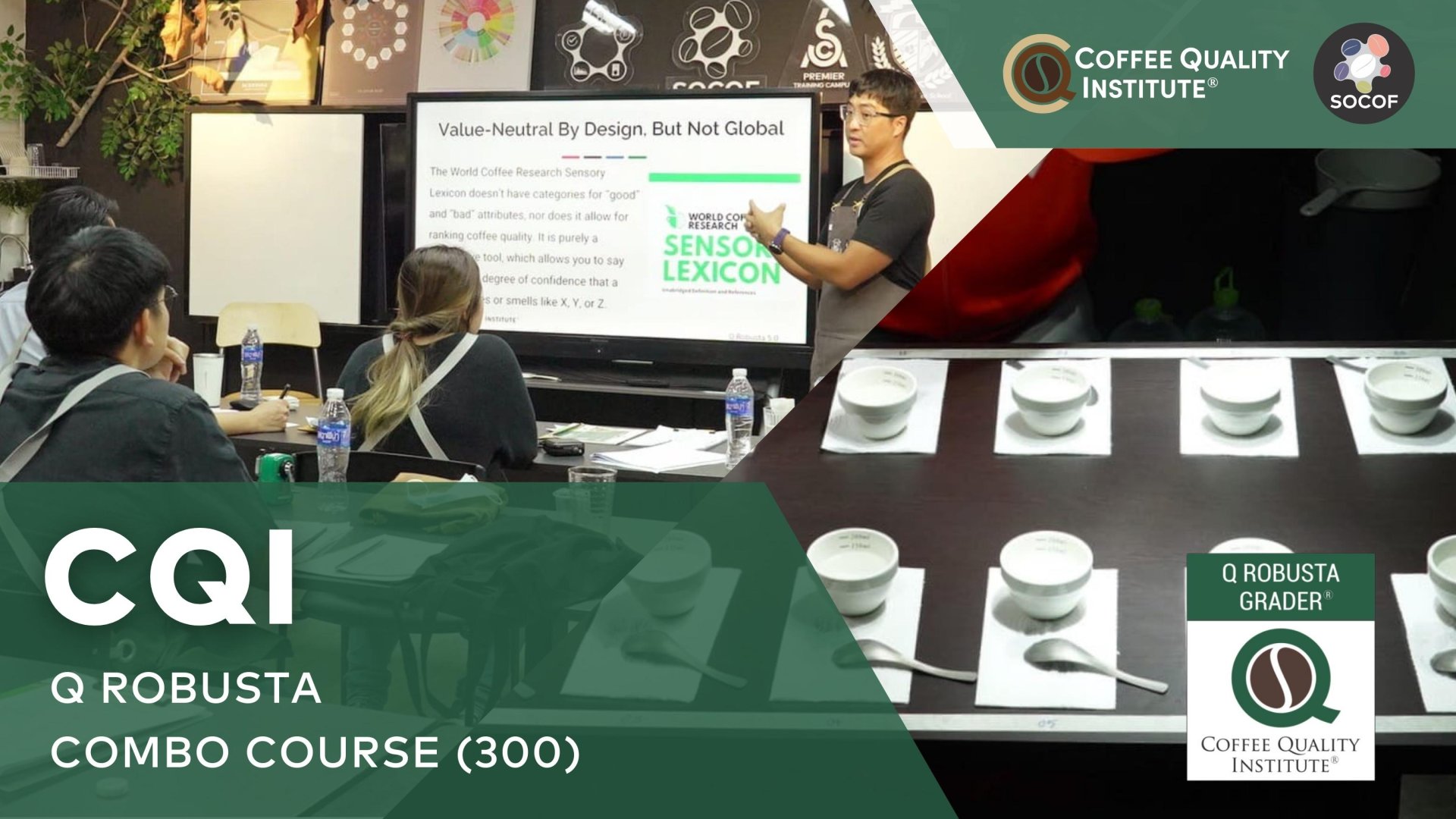 Q Robusta Combo Course (300) - ministryofroasters