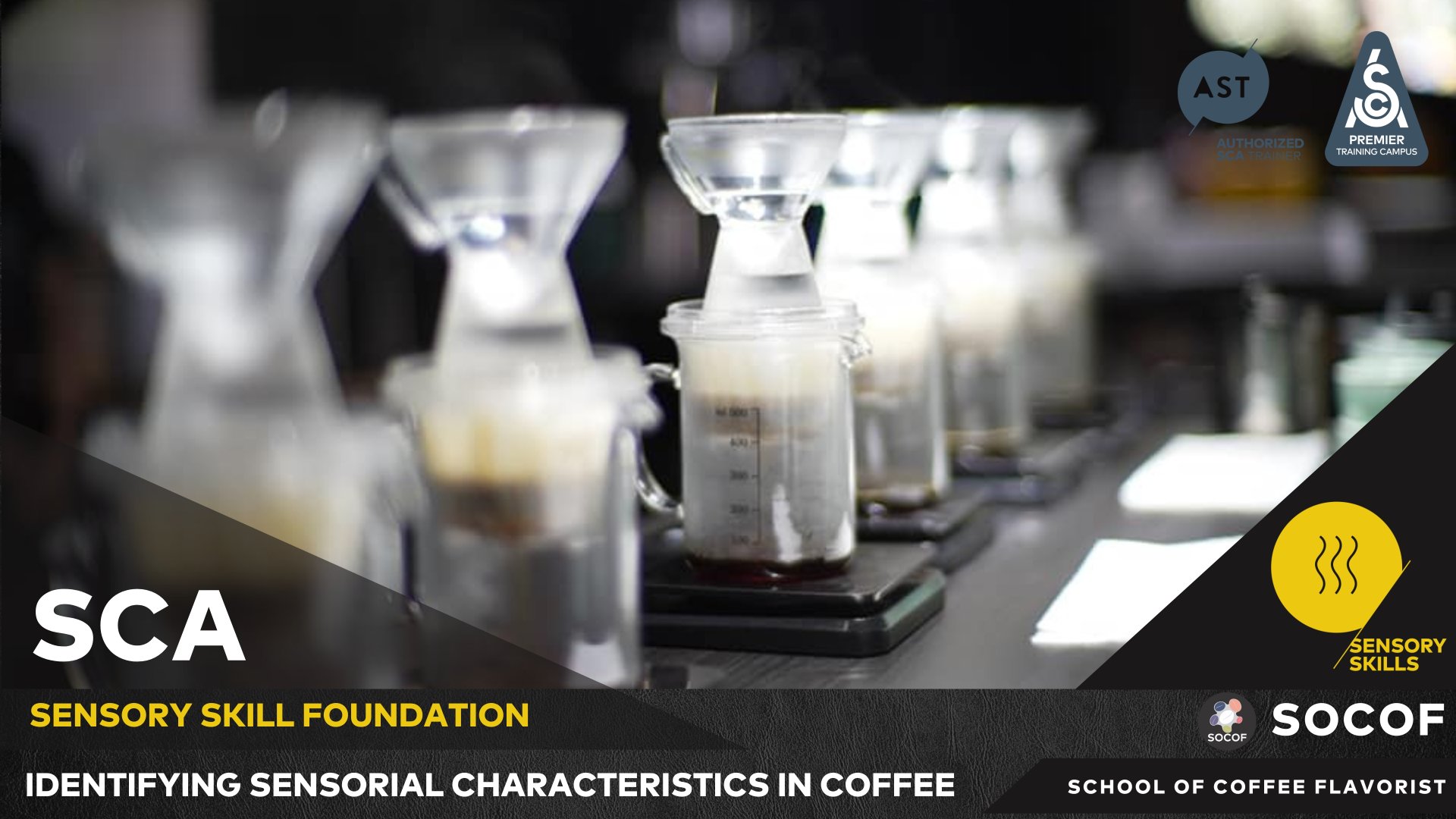 SCA Sensory Skills - ministryofroasters