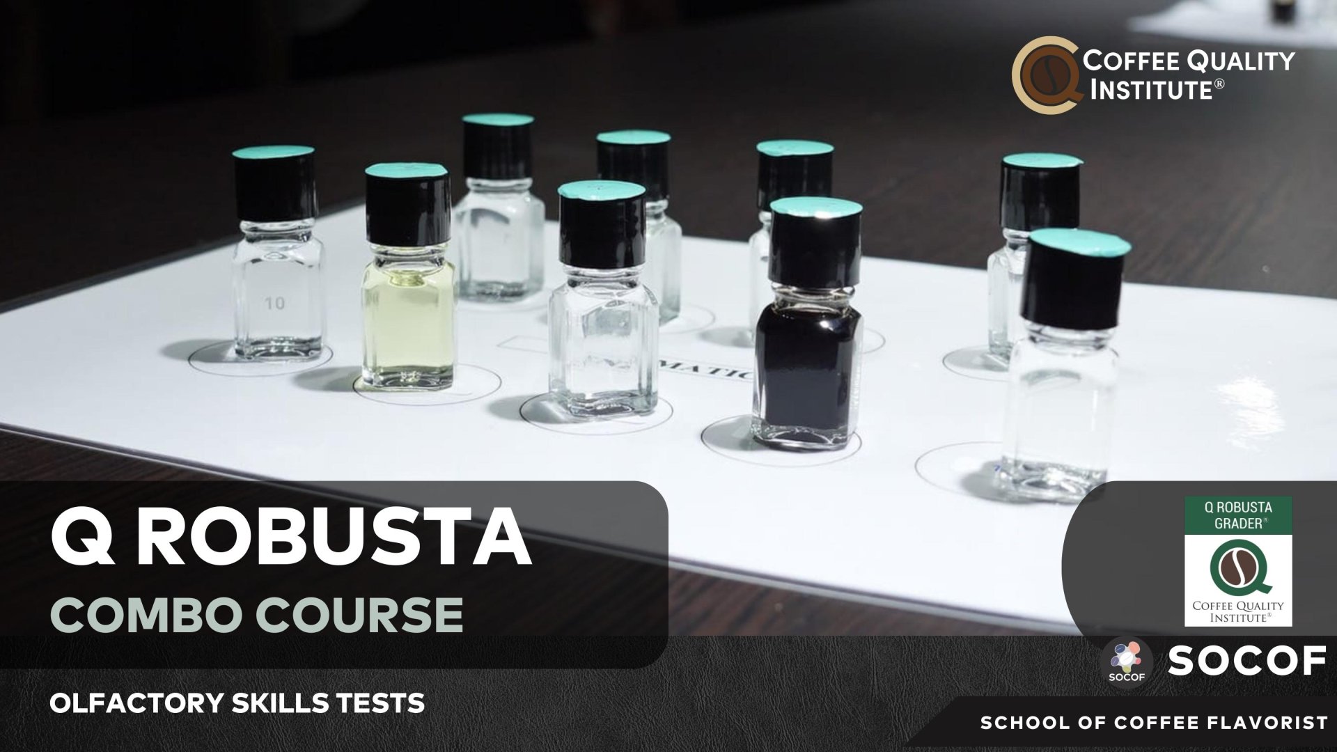 Q Robusta Combo Course (300) - ministryofroasters