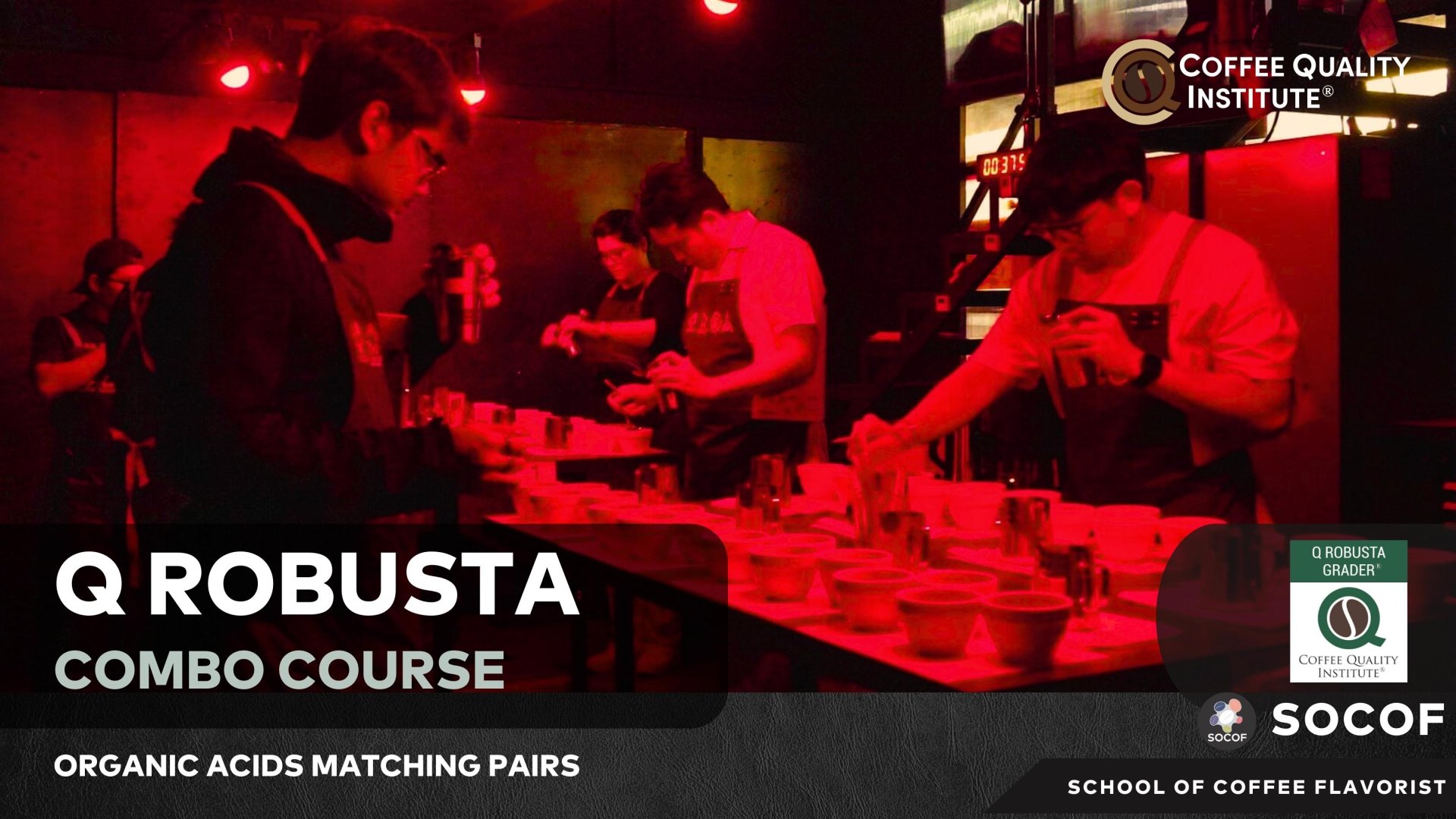 Q Robusta Combo Course (300) - ministryofroasters