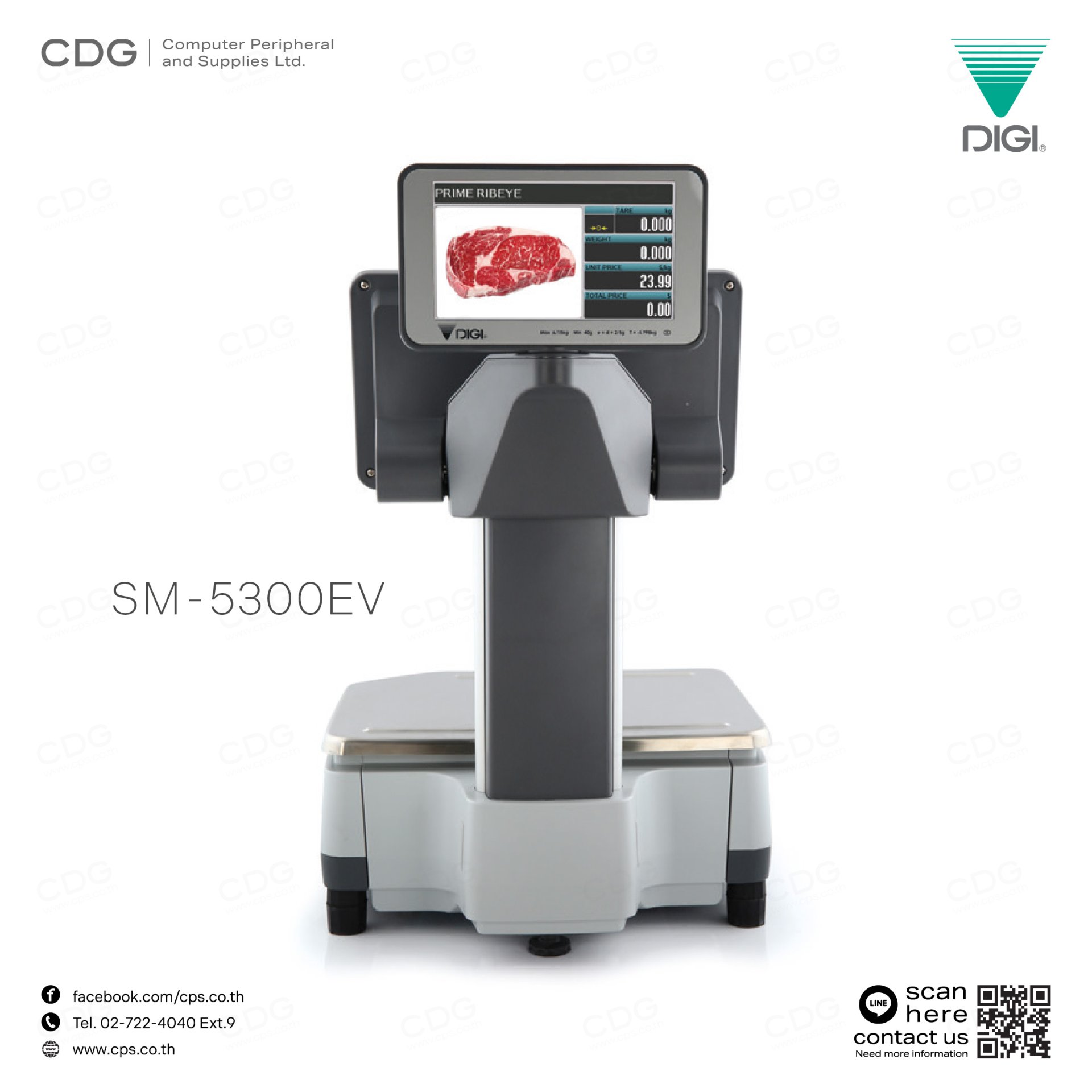 Digital Weight Scale DIGI SM-5300 Scales With Printer