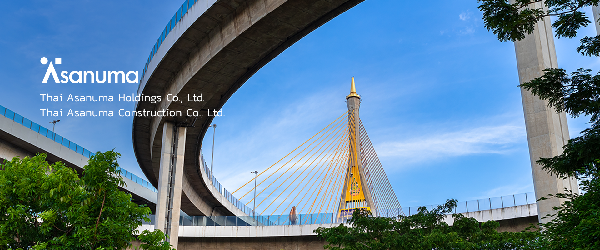 Carbon Fiber Reinforcement - Thai Asanuma