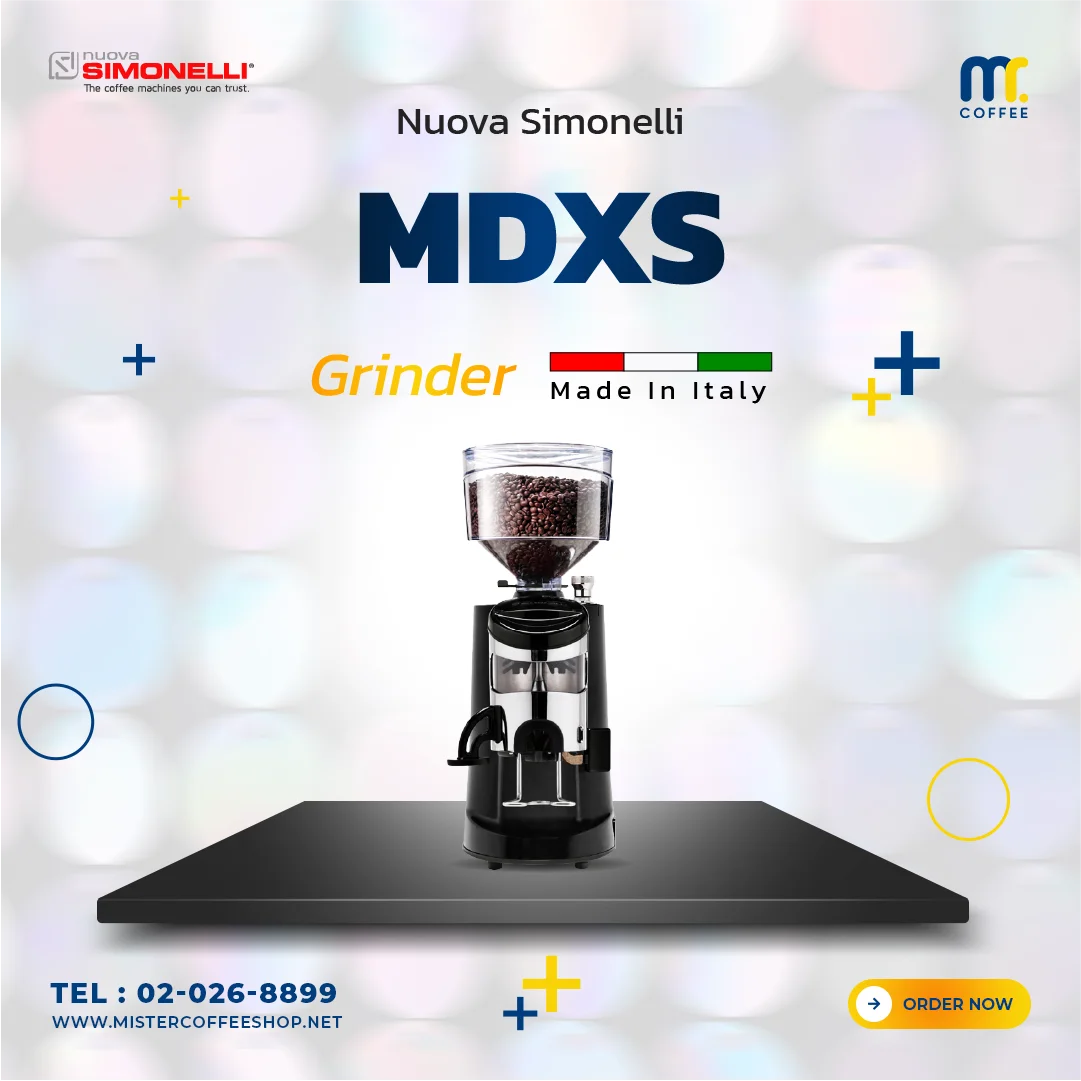Coffee Grinder - Nuova Simonelli MDXS - mistercoffeeshop