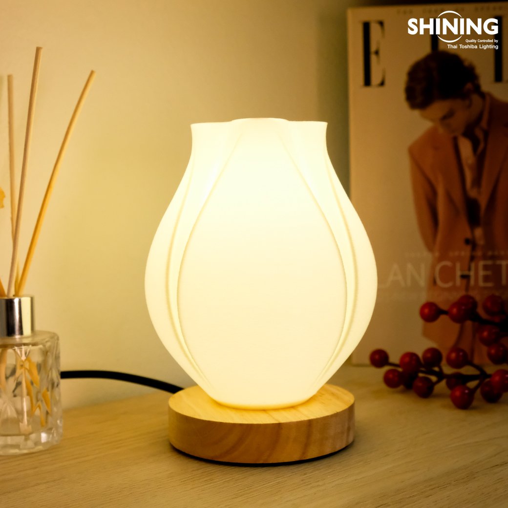 SHINING Table lamp Luna E27 Base
