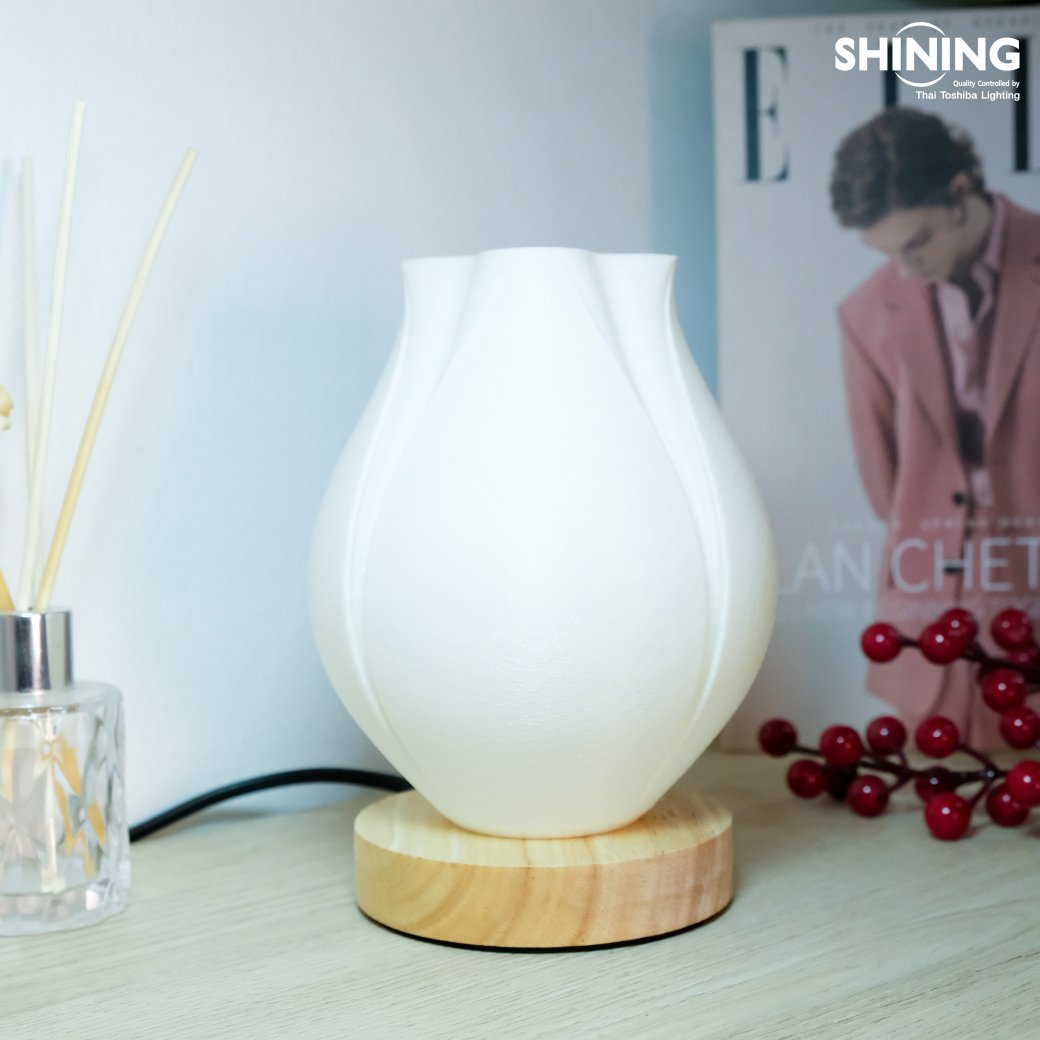 SHINING Table lamp Luna E27 Base