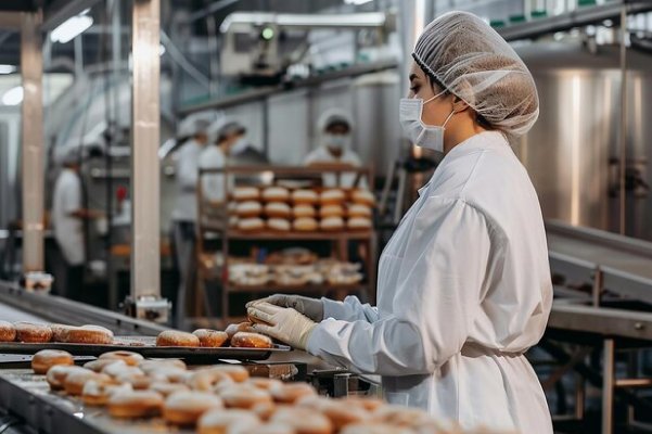 Manway Seals (Brewery Door Seals)