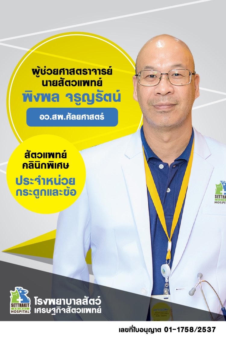 ทีมสัตวแพทย์ - setthakitanimalhospital