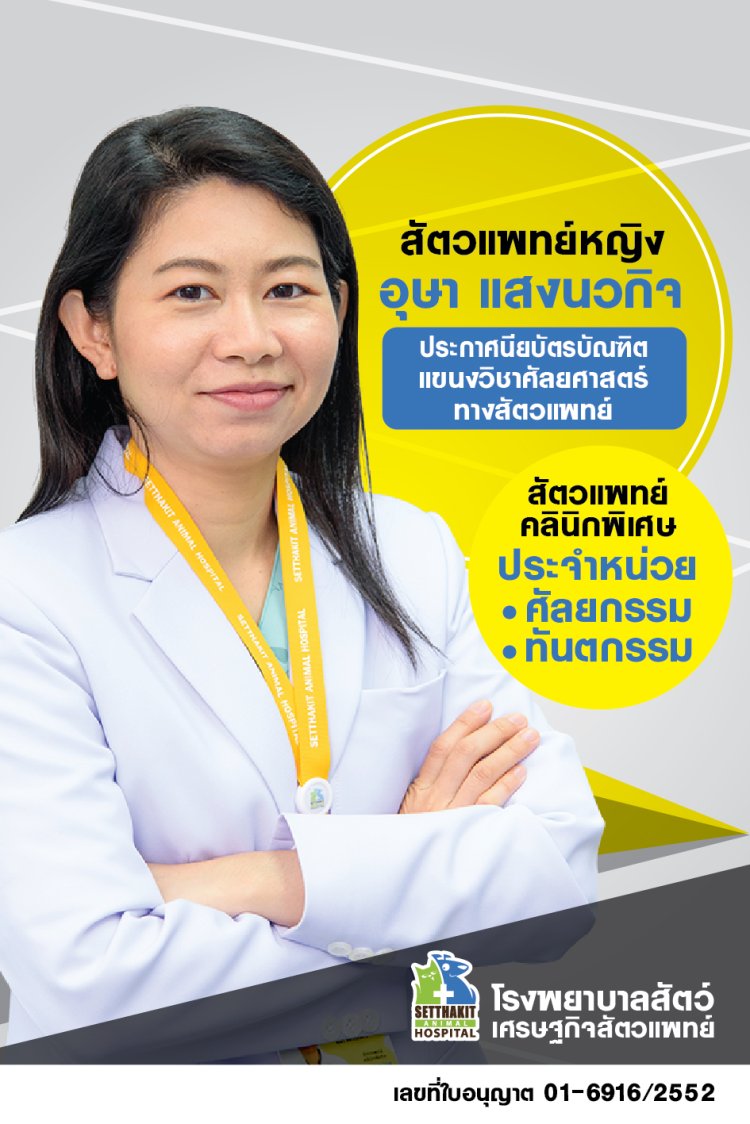 ทีมสัตวแพทย์ - setthakitanimalhospital