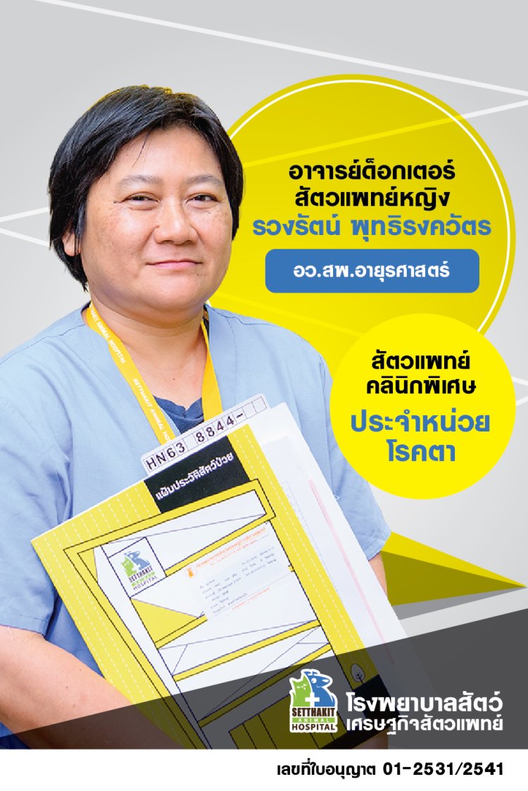 ทีมสัตวแพทย์ - setthakitanimalhospital