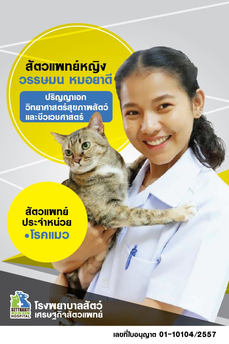 ทีมสัตวแพทย์ - setthakitanimalhospital