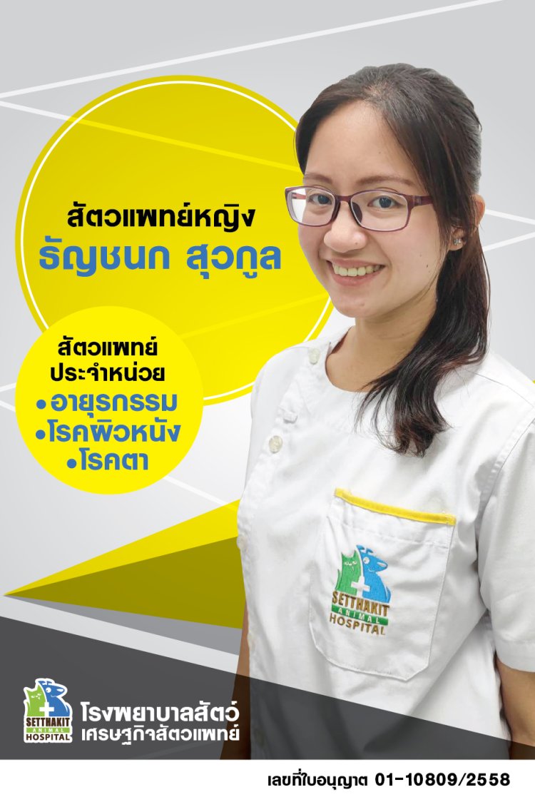 ทีมสัตวแพทย์ - setthakitanimalhospital