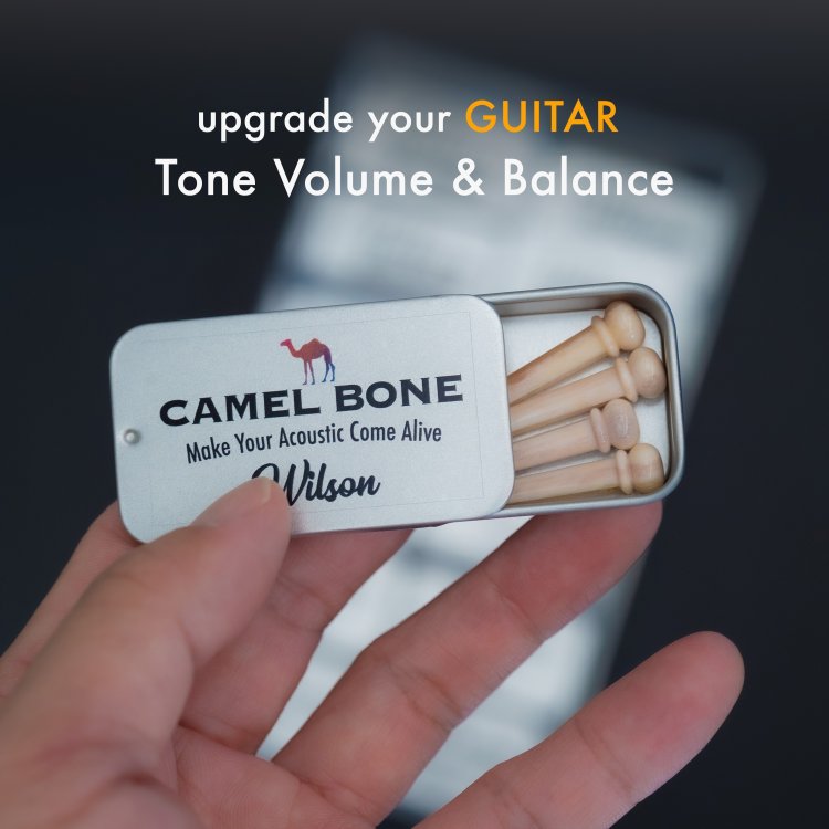 กีตาร์โปร่ง อุปกรณ์กีตาร์ Acoustic Guitar Herman Guitar