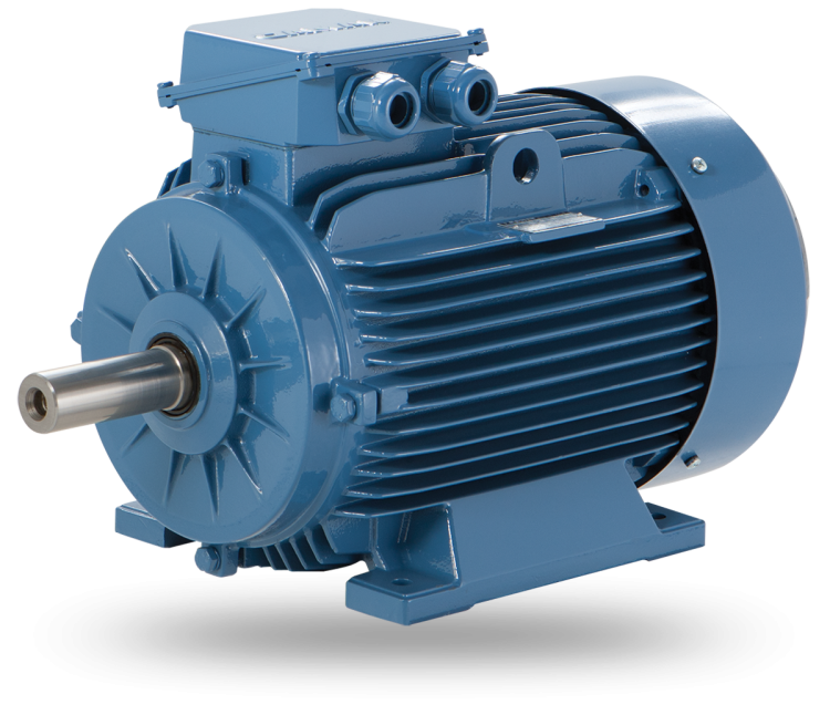 yilmazthailand - yilmazthailand