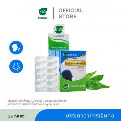 ประเภทผลิตภัณฑ์ - khaolaor