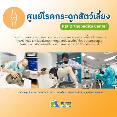 ศูนย์โรคกระดูกสัตว์เลี้ยง - setthakitanimalhospital