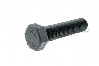 น็อตหัวหกเหลี่ยมดำ (Carbon Steel Hex Bolt) M16x2.0