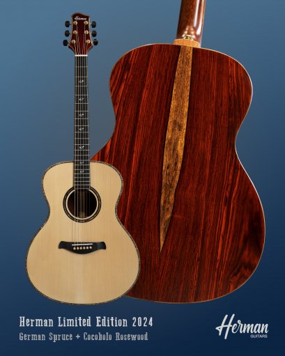 GUITARS - hermanguitar