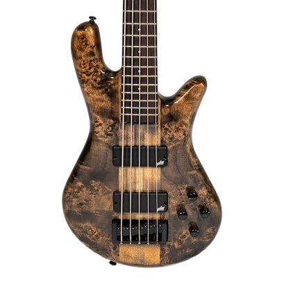 BASSES - stringsshop